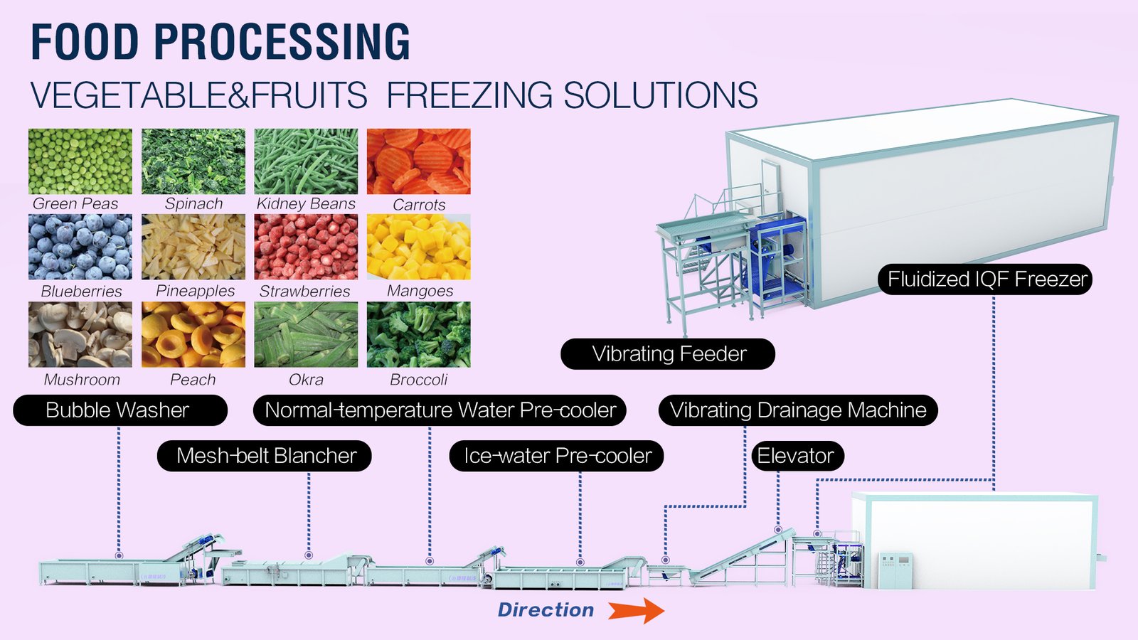 Vegetables&Fruits Freezing Production Line - iqffreezers.com